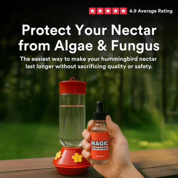 Magic Nectar | Hummingbird Food Mix