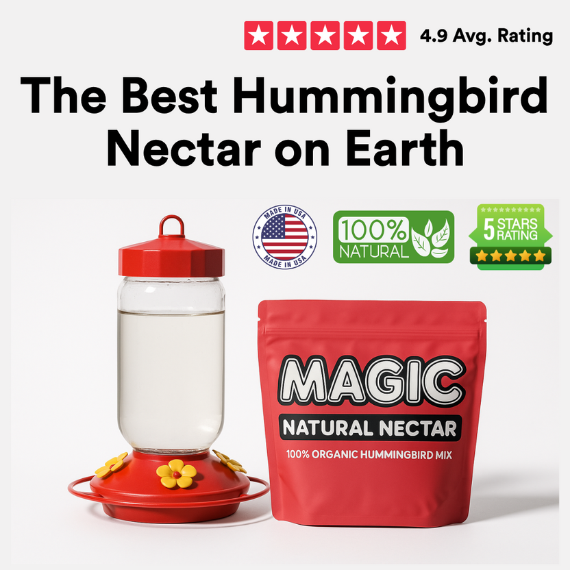 Magic Nectar™ | Hummingbird Food | 100% Natural & Organic